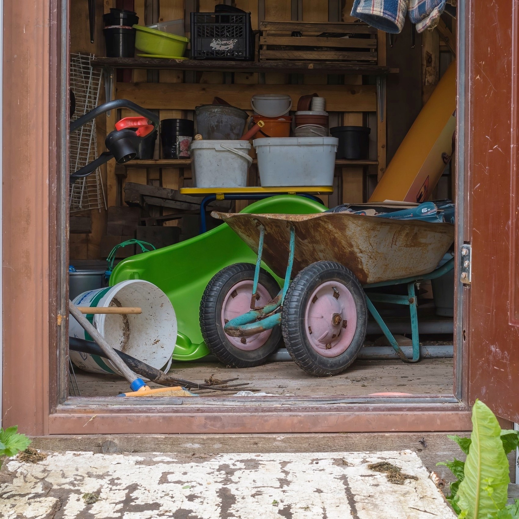 Home insurance and your garden - Rias